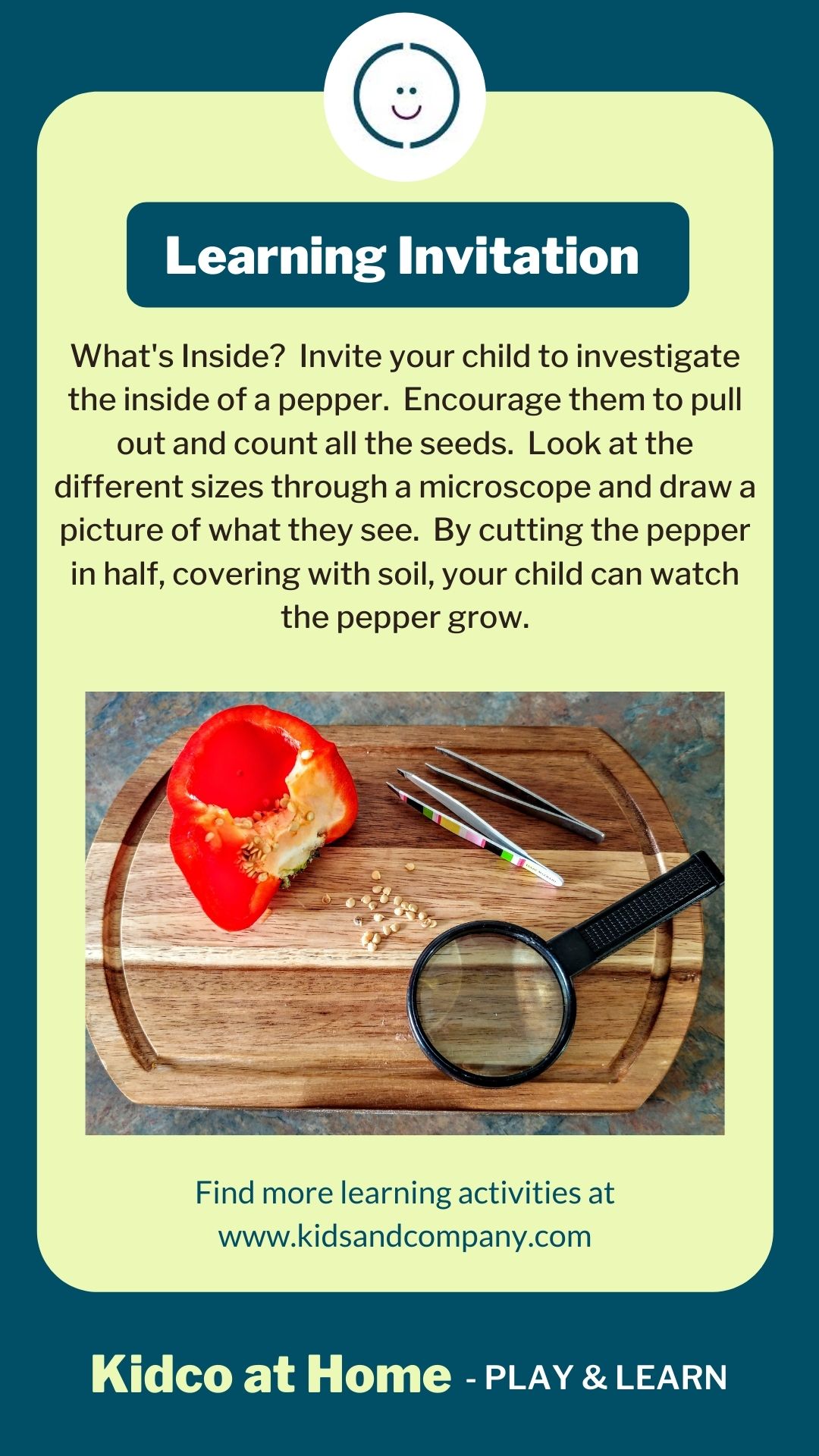 Pepper Investigation - Kids & Company